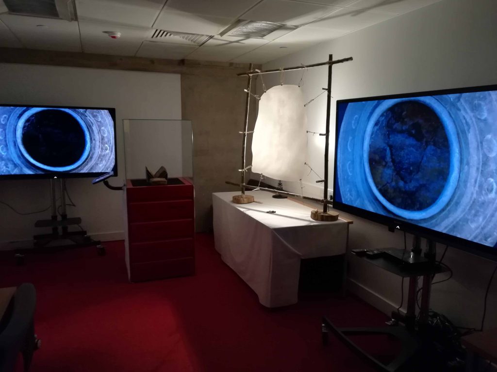 Immersive experience installed in the David Wilson Library, May 2018